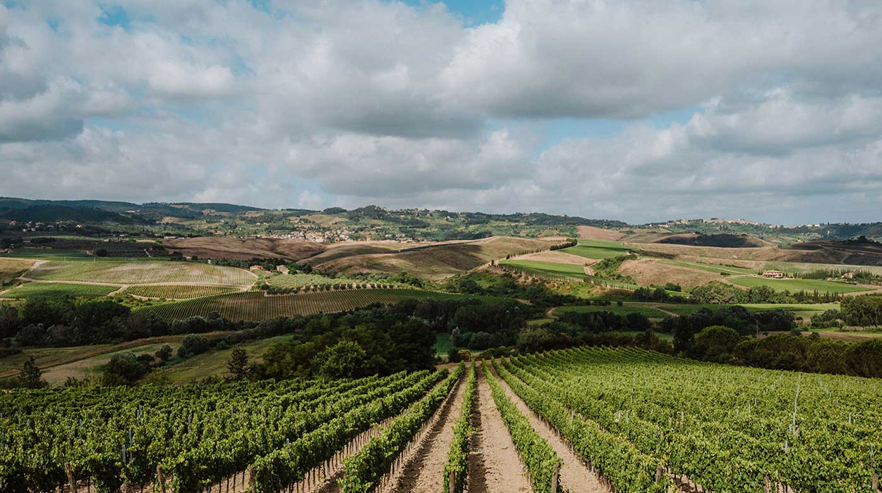 Landing - Badia di Morrona